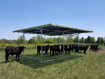 Portable Horse and Livestock Shade Kits | Klene Pipe