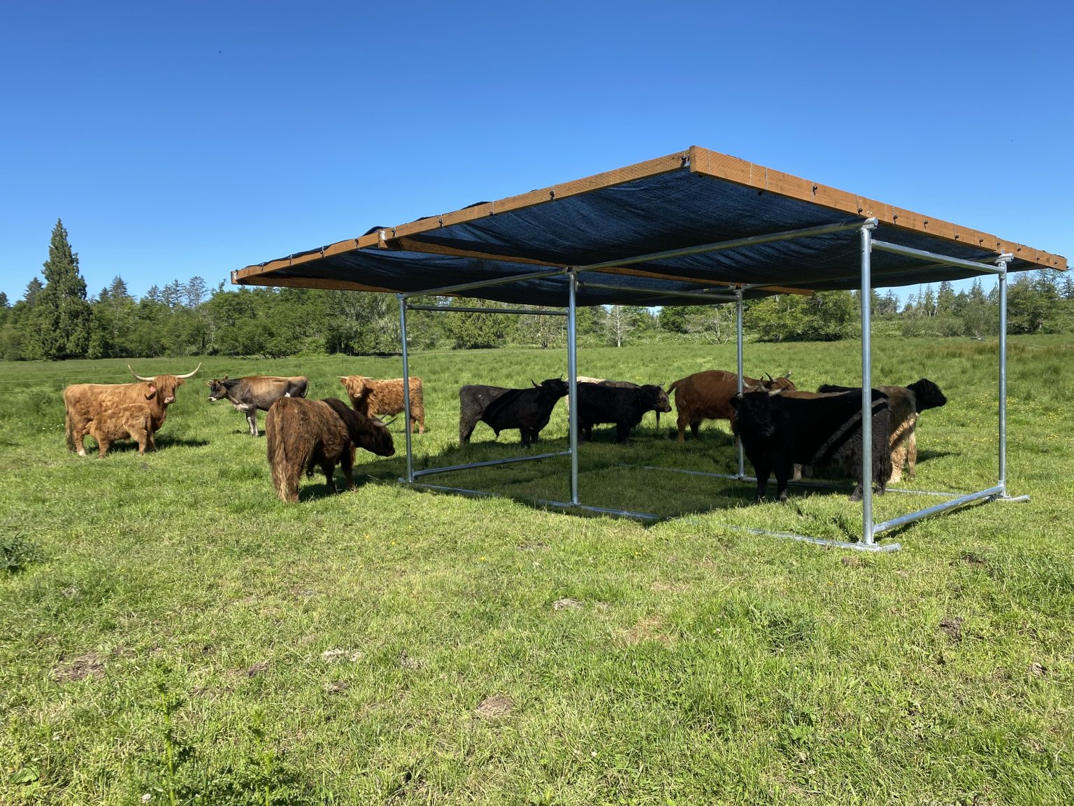 Portable Horse and Livestock Shade Kits | Klene Pipe