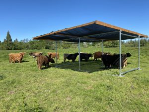 Portable Horse and Livestock Shade Kits | Klene Pipe