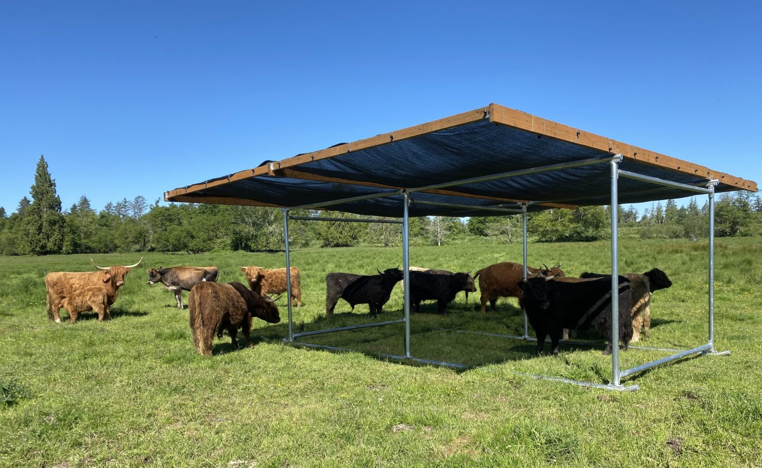 Portable Horse and Livestock Shade | Klene Pipe
