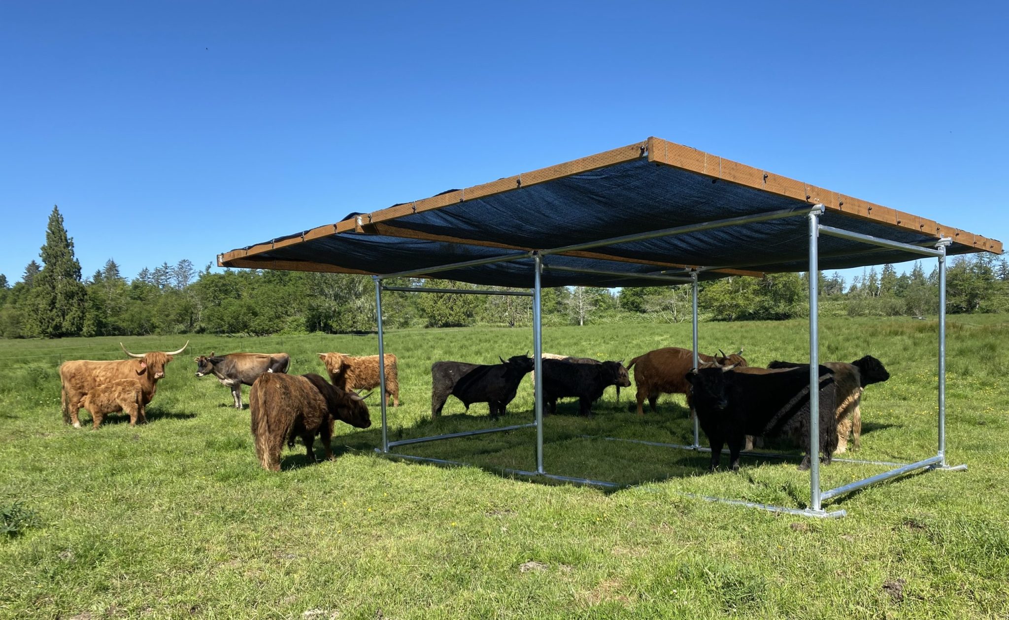 Portable Horse and Livestock Shade | Klene Pipe